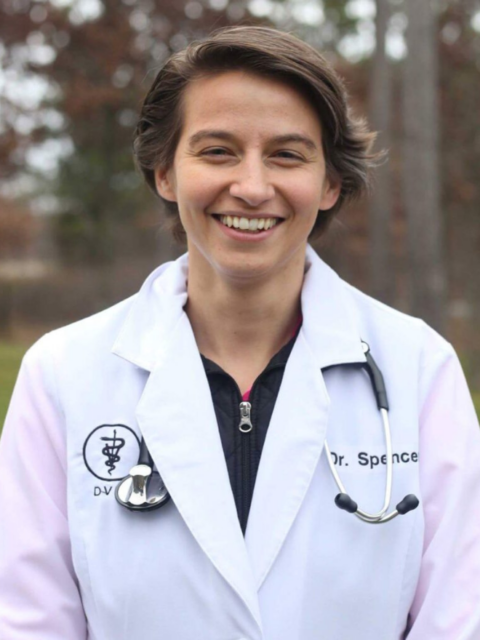 Veterinarian In Bemidji, MN 56601 | Animal Care Clinic